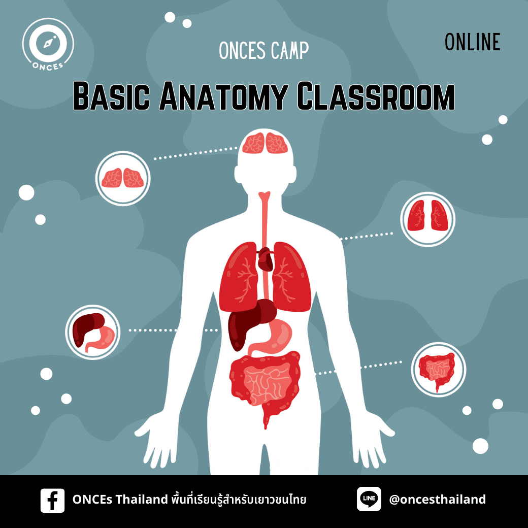 ห้องเรียนจำลอง ตอน Basic Anatomy (กายวิภาค) by ONCEs Thailand