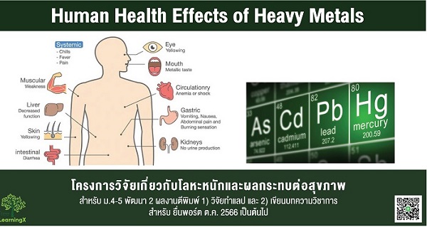 Research Project: Health Effects of Heavy Metal