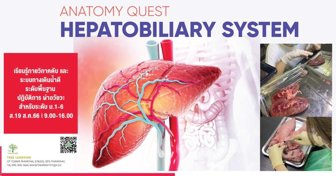 Anatomy Quest- Hepatobiliary System SAT19Aug23