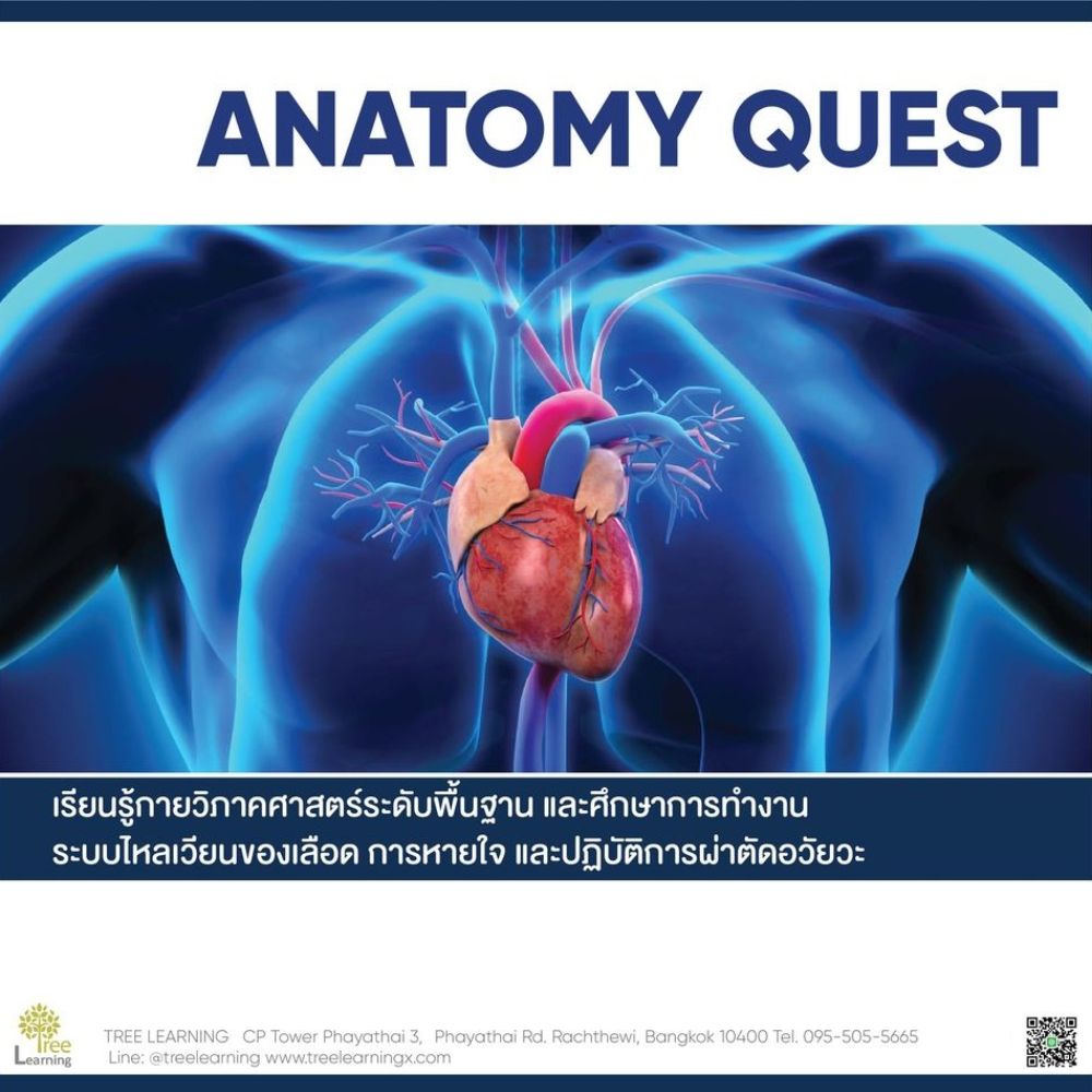 Anatomy Quest: Cardiovascular - SUN17Dec23