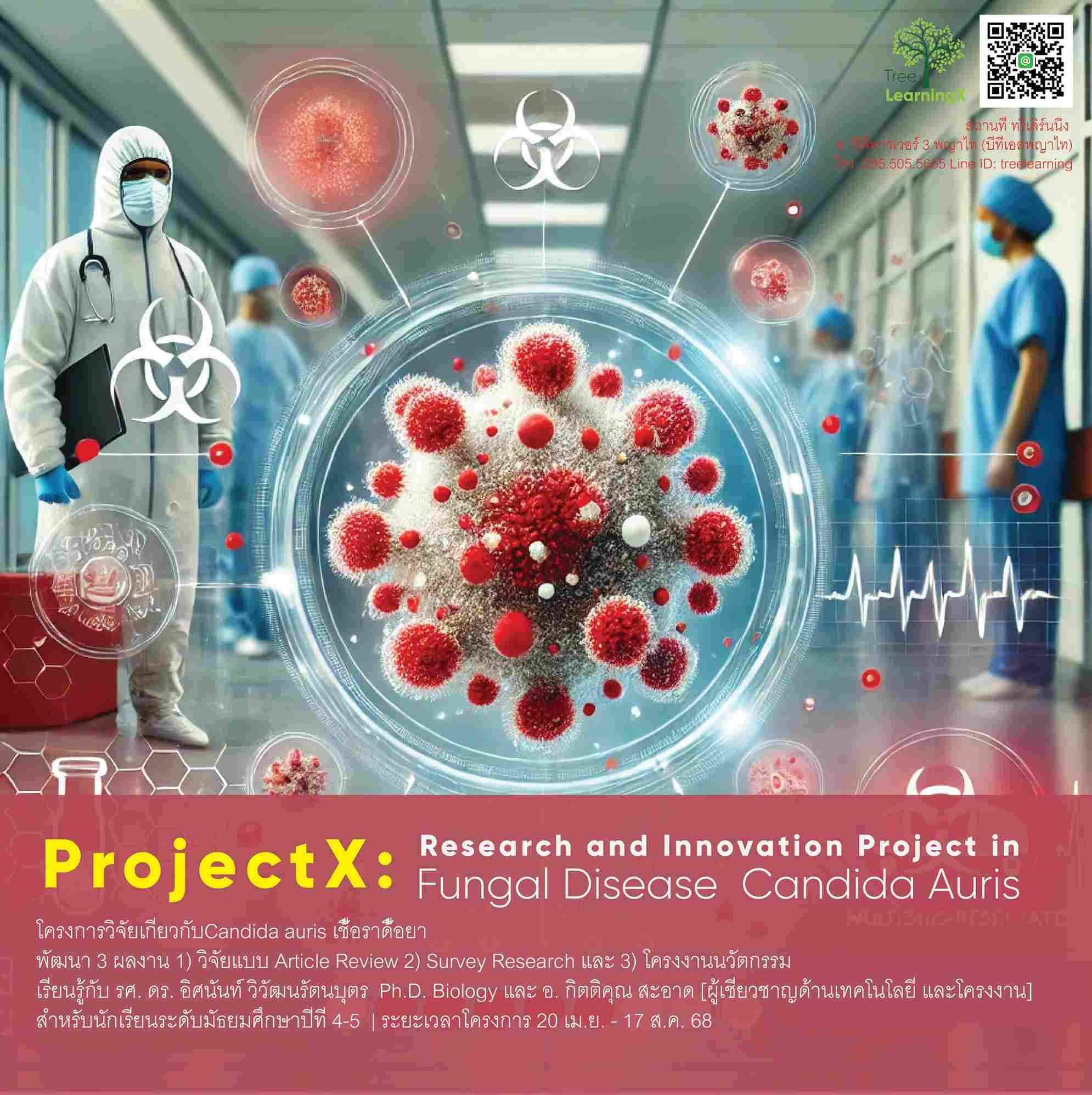 Research Project in Fungal Disease: Candida Auris