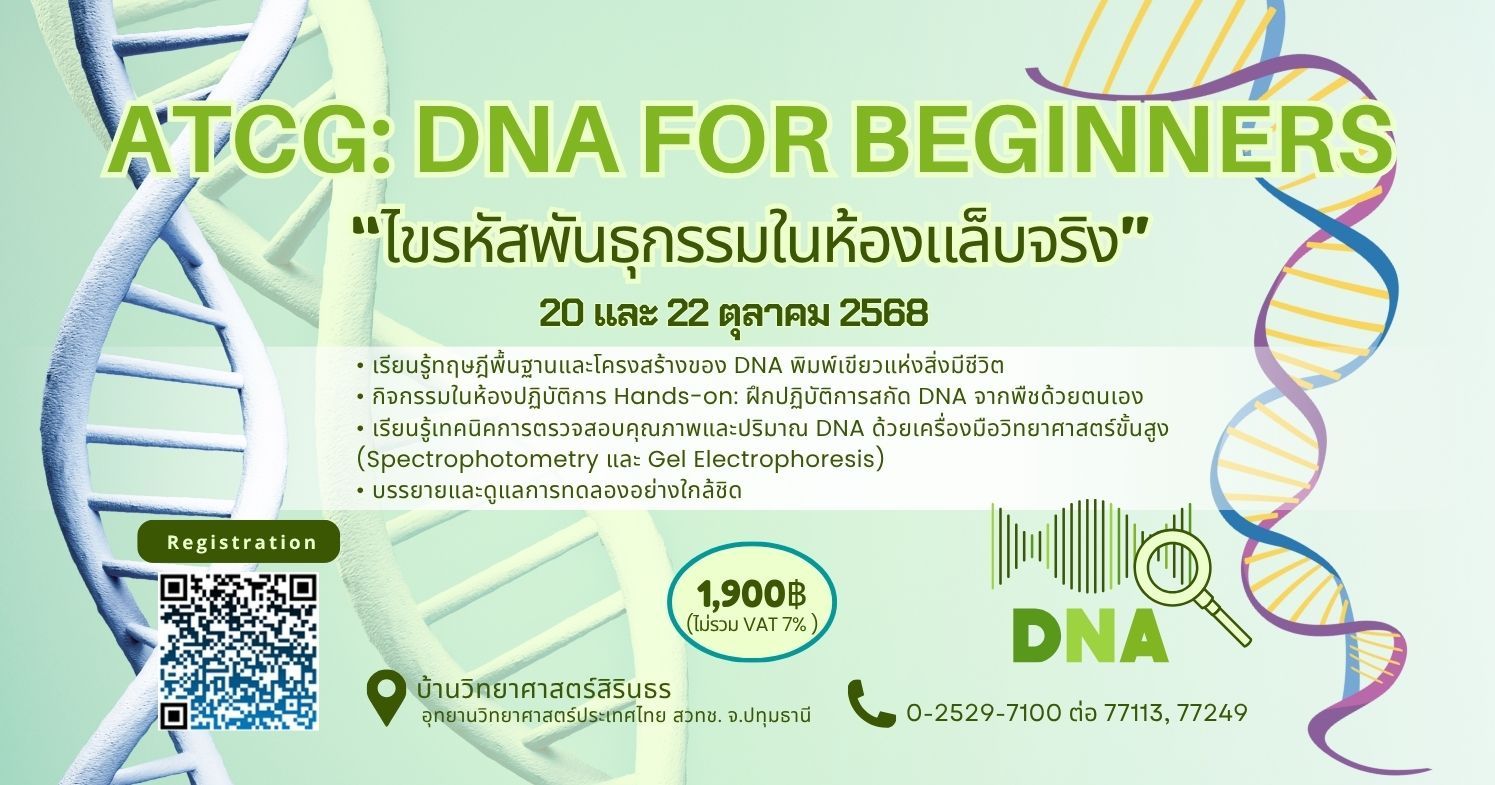 ATCG: DNA for Beginners 2025: ไขรหัสพันธุกรรมในห้องแล็บจริง