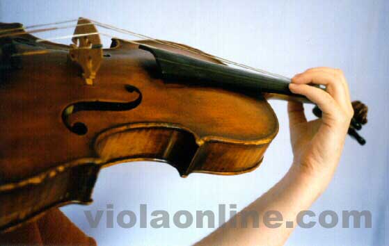 นิยาย Viola Basics > ลำดับตอนที่ #10 : How to Hold the Viola : Dek-D ...