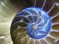 My.iD Gallery : รูป 9how,h.jpg