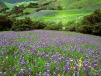 My.iD Gallery : รูป 9how,h.jpg