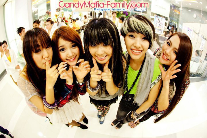 เเนะนำ วง Candy Mafia [CM] -----------------------------