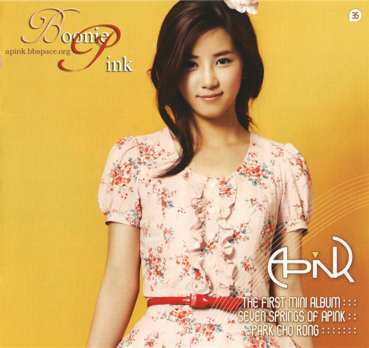 [A PINK] ประวัติ + แนะนำ เกิร์ลกรุ๊ปหน้าใหม่ นามว่า.. A Pink | Dek-D.com