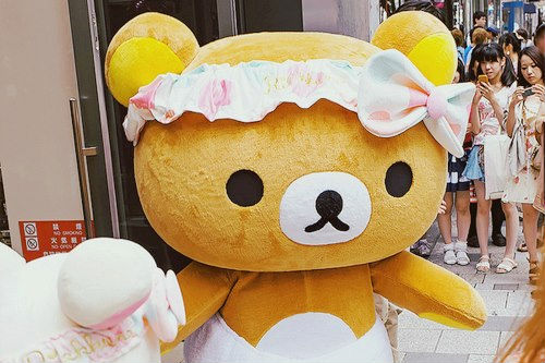 Rilakkuma | Dek-D.com