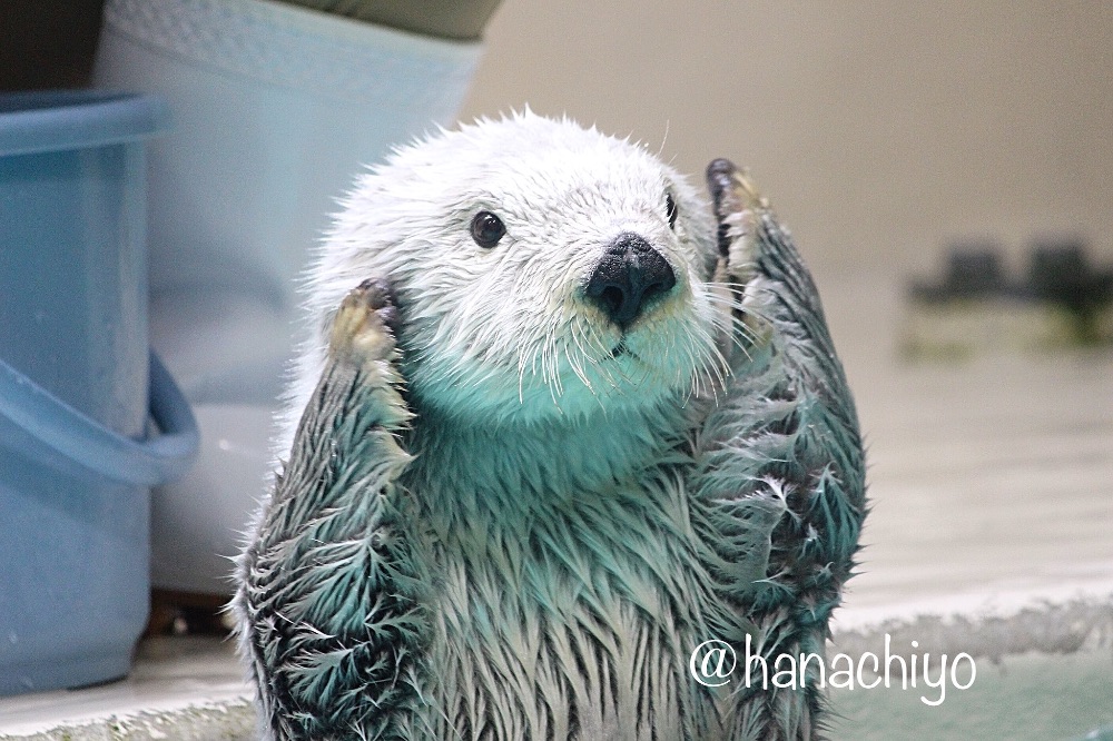 สิ่งที่นักเขียนไม่ชอบที่สุด | Dek-D.com