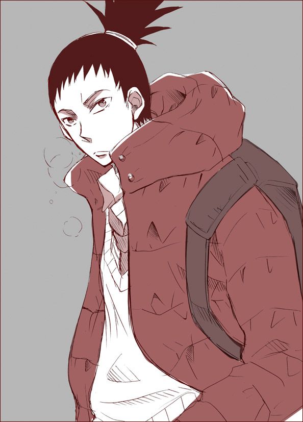 นารา ชิกามารุ (17)