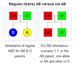 พ่อ AB แม่ O ลูก O มันเป็นไปได้หรอคะ? | Dek-D.com