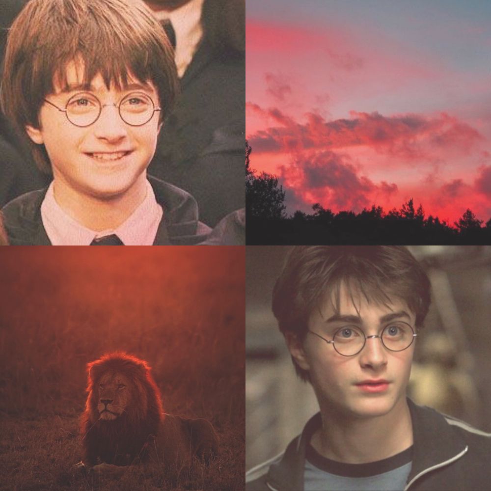 HARRY JAMES POTTER