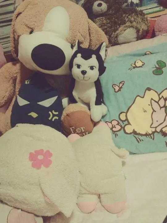 แชร์ไปยังเฟซบุ๊ก