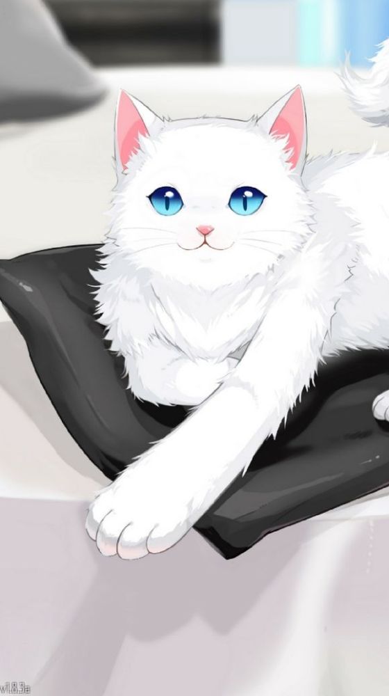 นิยาย AKASHI X OC || CAT BE SIDE [END] : Dek-D.com - Writer