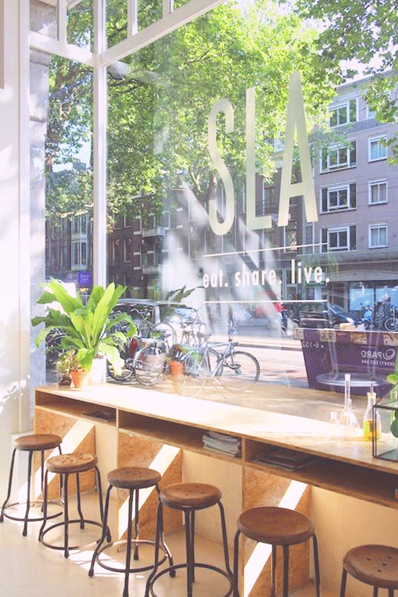 { ROBINAMI CAFE } ♥ {RORONOA SHOP}