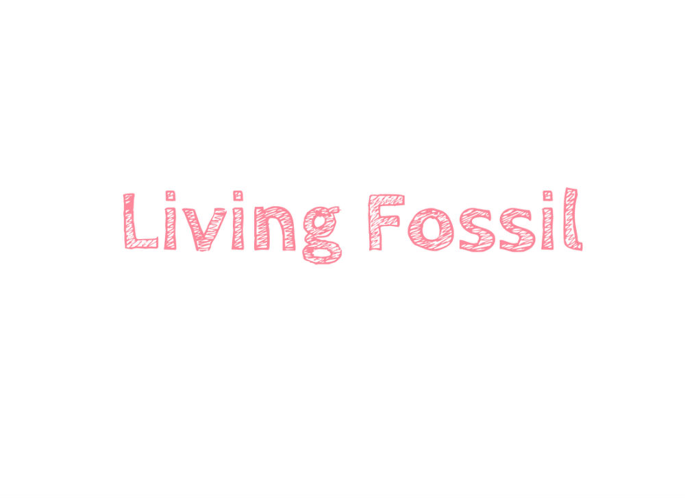 มาทำความรู้จักกับ living fossil กันเถอะ :D | Dek-D.com