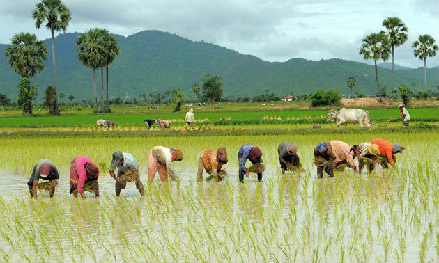 ชาวนาอาชีพที่ไม่ควรดูถูกว่าเป็นคนจน และคนอีสานไม่ใช่คนที่หน้าตาไม่ดี ...