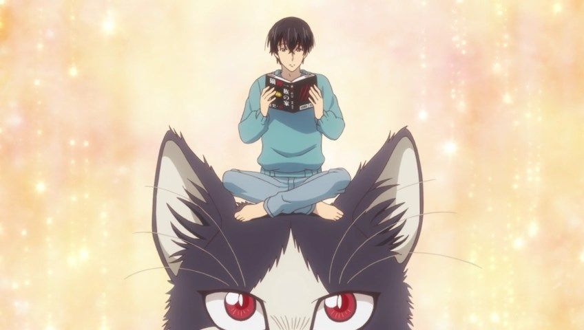 [Anime] เรื่องราวของคนและแมวอันแสนวุ่นวาย Doukyonin wa Hiza, Tokidoki ...