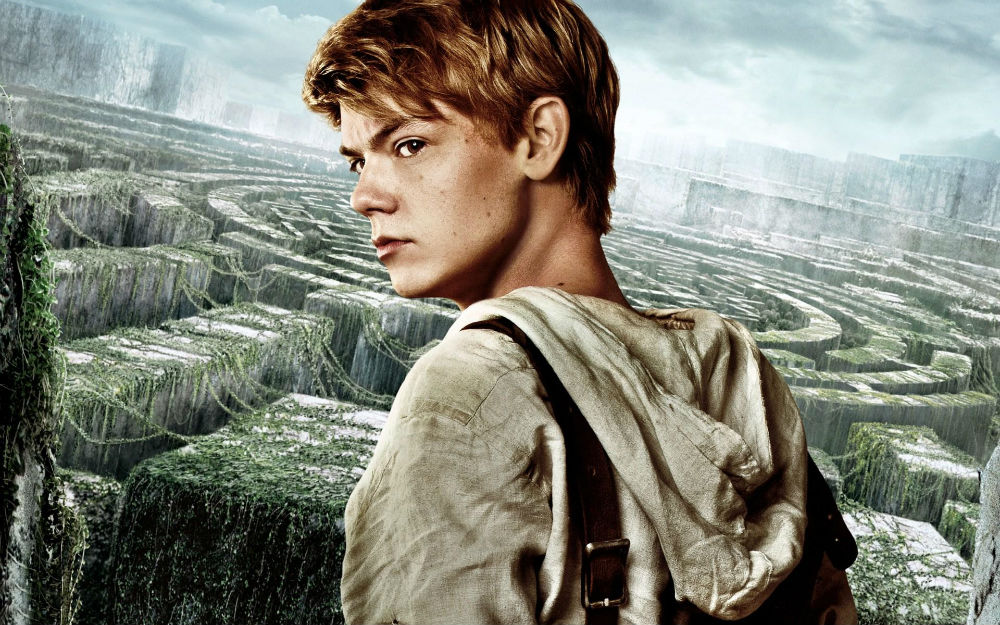 อยากได้รูป+ประวัติ Newt The Maze Runner -///- | Dek-D.com