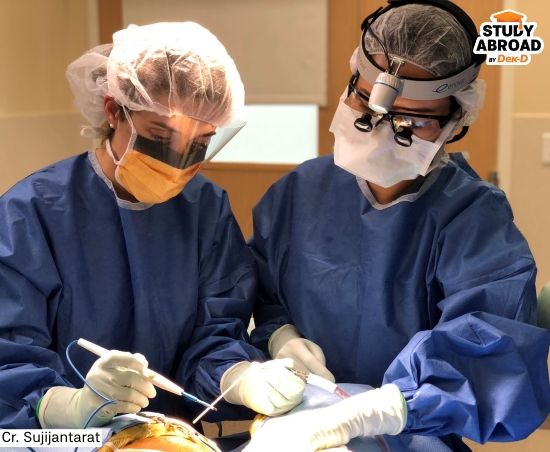 กว่าจะเป็นแพทย์ในอเมริกา! คุยกับ ‘หมอกวาง’ เรียนเฉพาะทาง Neurosurgery ...