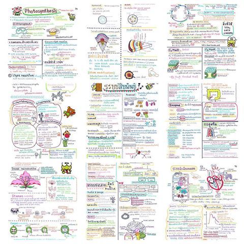 ทำ short note ยังไงให้น่าอ่าน? | Dek-D.com