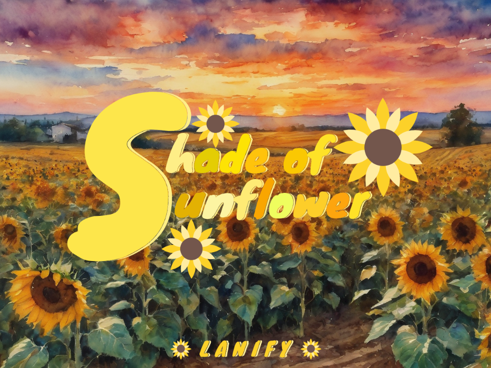 Shade of Sunflower ทานตะวันหลากสี