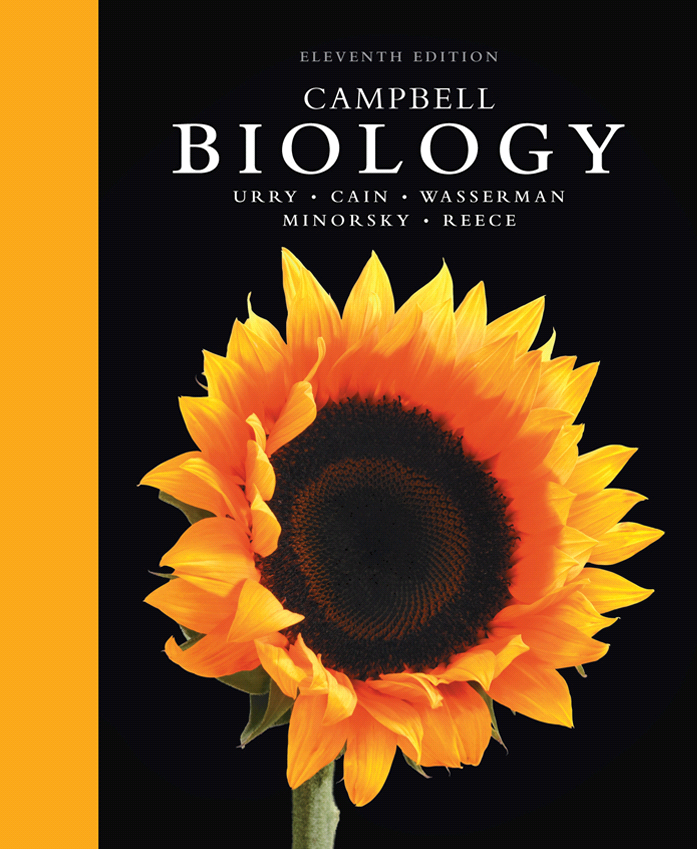 ใครมี campbell biology 10th edition pdf เเละ campbell biology 11th ...