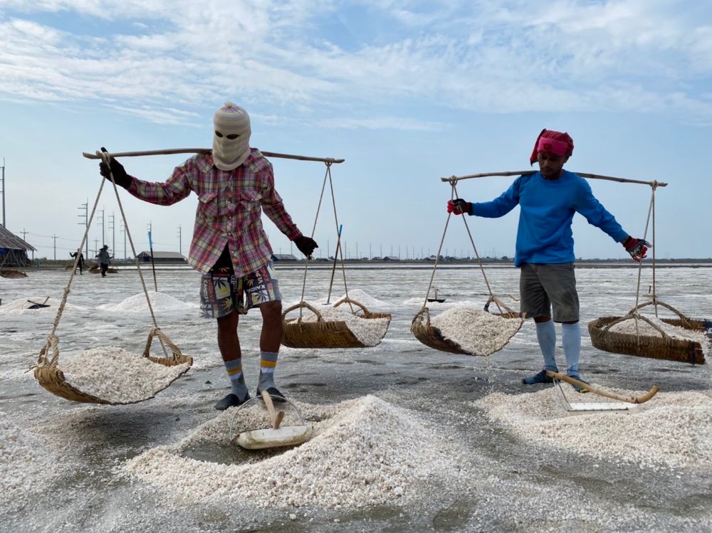 ดอกเกลือ เมืองเพชร ของบ้านๆ แต่ทำไมกลายเป็น Soft Power | Dek-D.com