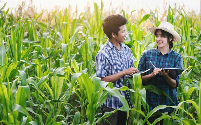 ทำความรู้จัก Young Smart Farmer คืออะไร วัยรุ่นยุคใหม่ต้องรู้ | Dek-D.com