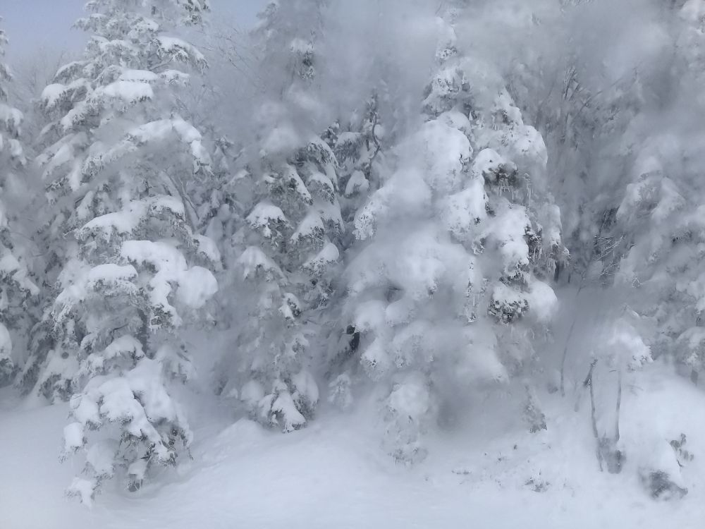 แชร์ไปยังเฟซบุ๊ก