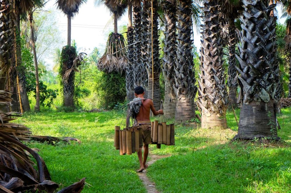 เพชรบุรี จังหวัดที่ติดอันดับ Soft power thai food | Dek-D.com