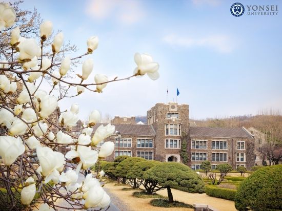 รีบเลย! ‘Yonsei University’ เปิดรับสมัคร ป.โท/เอก รอบ Fall 2023 พร้อม ...