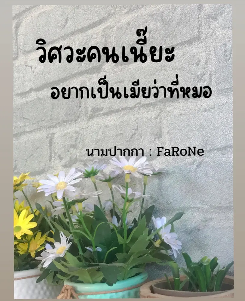 วิศวะคนเนี๊ยะ อยากเป็นเมียว่าที่หมอ | อาเฟย x เหมยอิง (จบแล้ว)