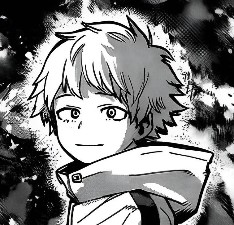 Name : Todoroki Touya