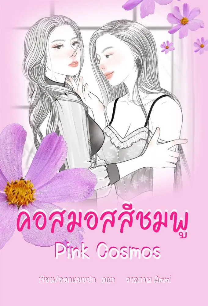 คอสมอสสีชมพู PINK COSMOS