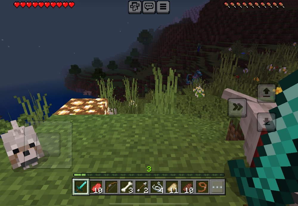 รีวิวเกม Minecraft จากประสบการ์ณของคนเล่นจริงมาหลายปี และกลับมาเล่นอีก | Dek-D.com