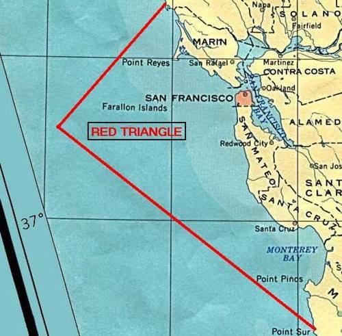 8 สถานที่สุดอันตรายที่มักเจอฉลามทำร้าย