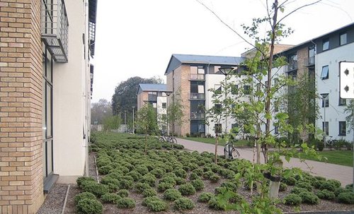 UCD สถาบันอันดับ 1 ของไอร์แลนด์